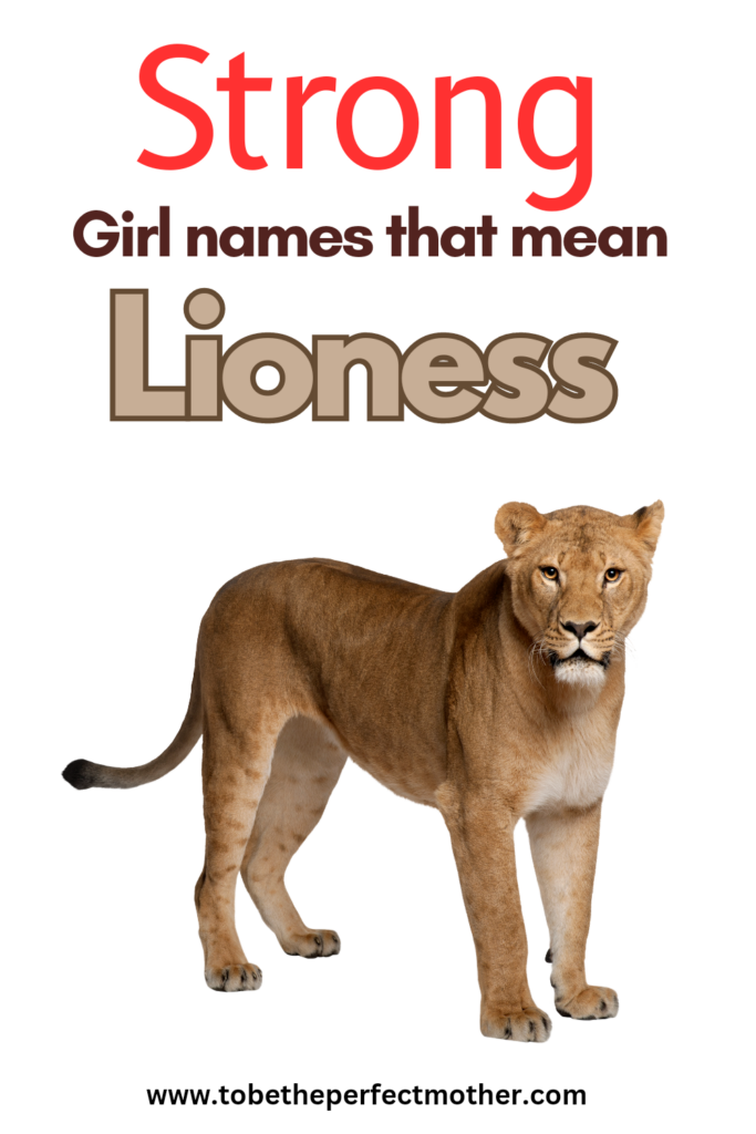 Strong girl names that mean lioness - To Be The Perfect Mother