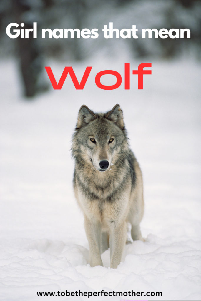 Girl names that mean wolf - To Be The Perfect Mother
