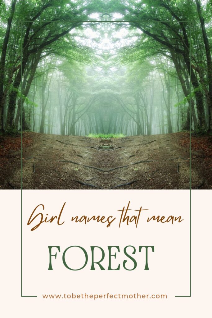 Girl Names That Mean Forest: A Beautiful Connection to Nature - To Be ...